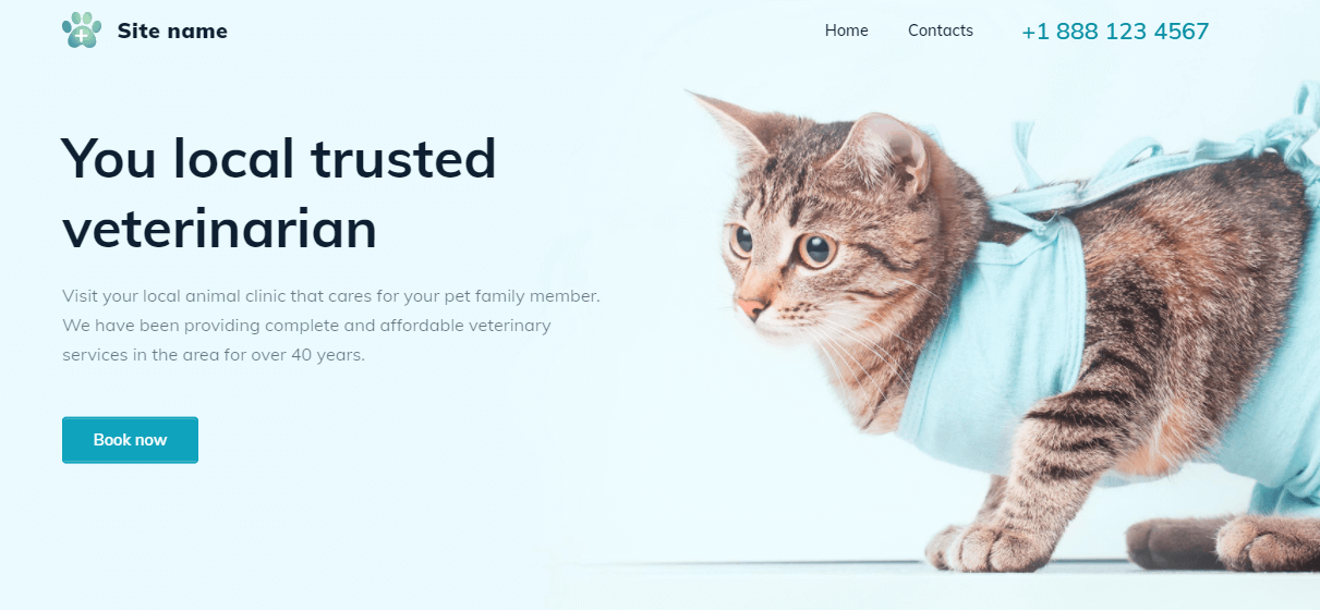 20+ Web Design Themes for Your Site - HostPapa Web Builder