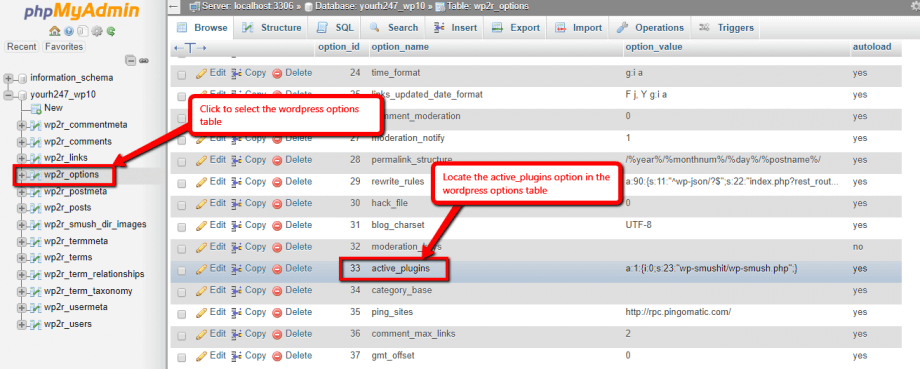 How to disable WordPress plugins directly from database