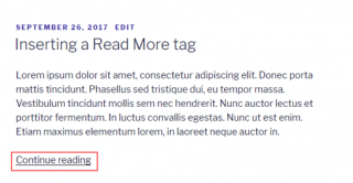 How to edit the Read More button in WordPress and create excerpts