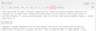 How to edit the Read More button in WordPress and create excerpts