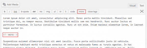 How to edit the Read More button in WordPress and create excerpts
