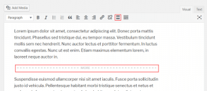 How to edit the Read More button in WordPress and create excerpts
