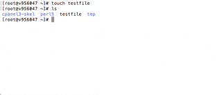 What are the basic SSH commands?